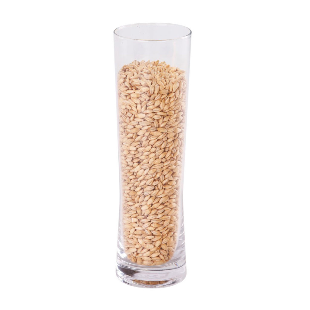 IREKS - German Specialty Malts - Stone Path Malt