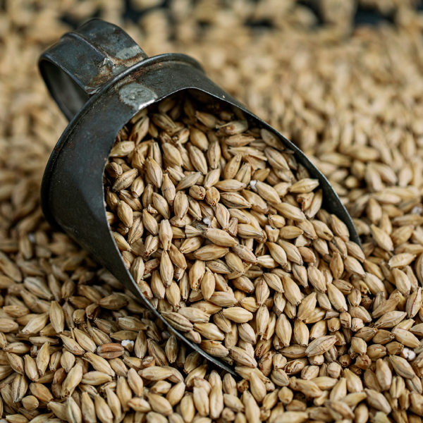 Nor'East Malts - Stone Path Malt