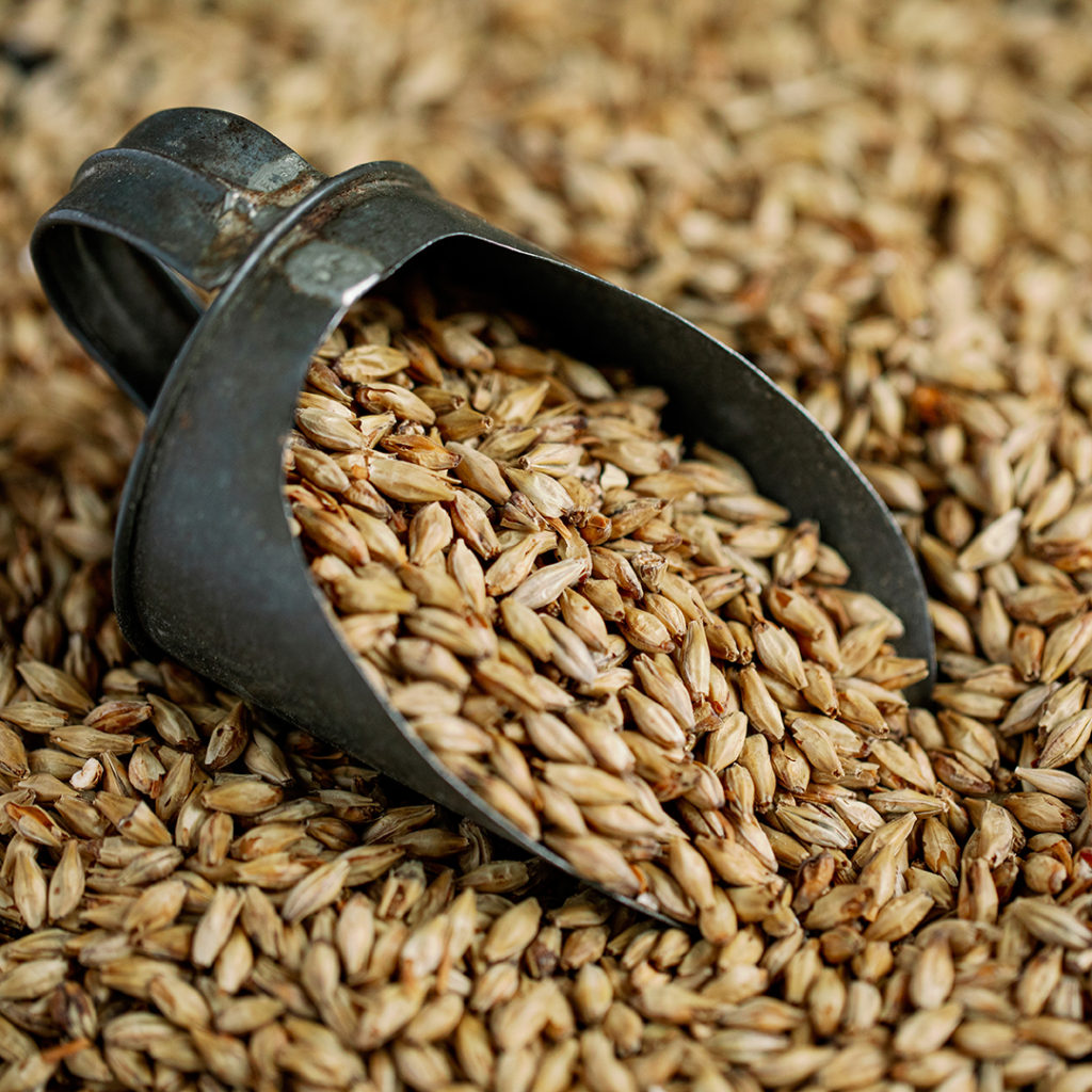 Nor'East Malts - Stone Path Malt