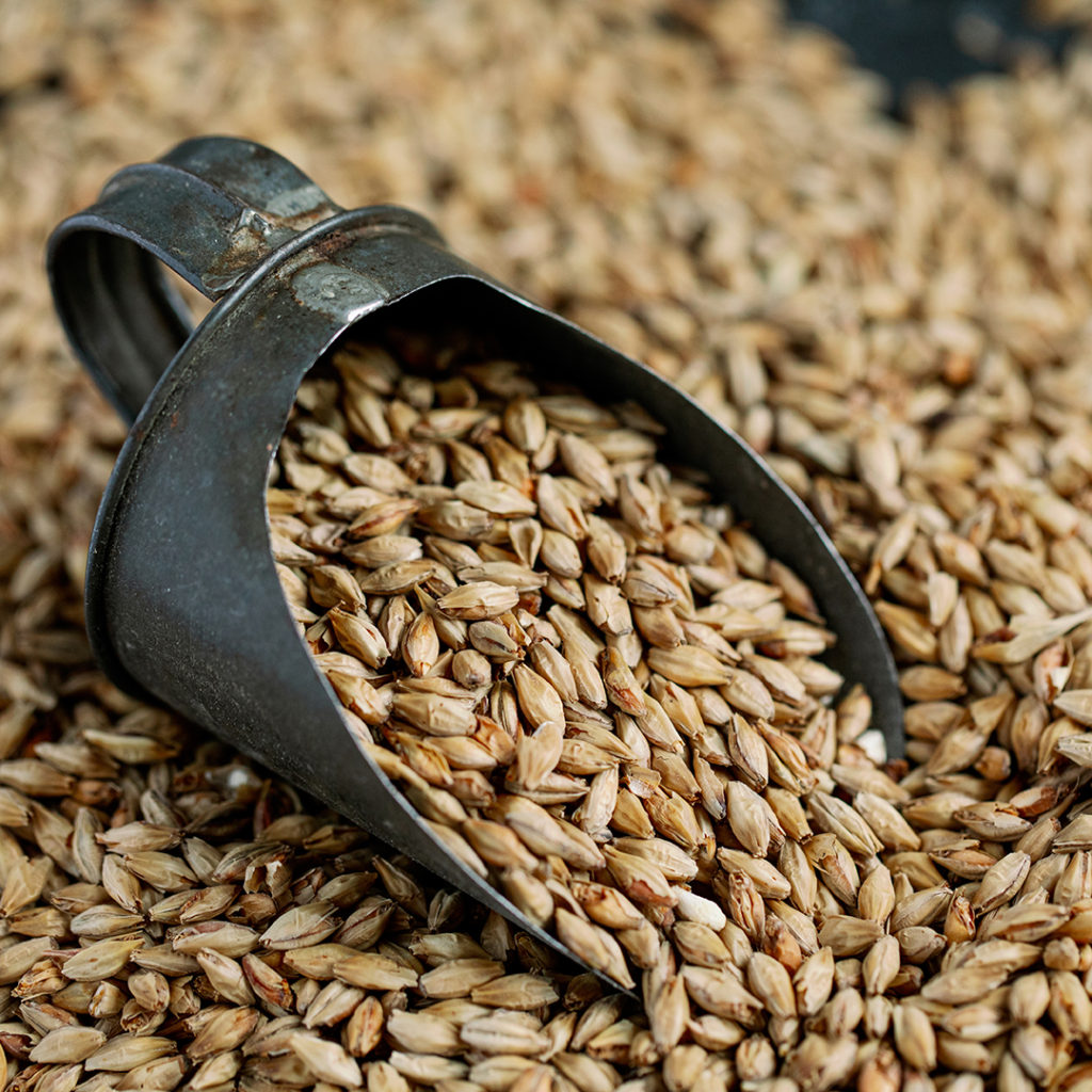 Nor'East Malts - Stone Path Malt