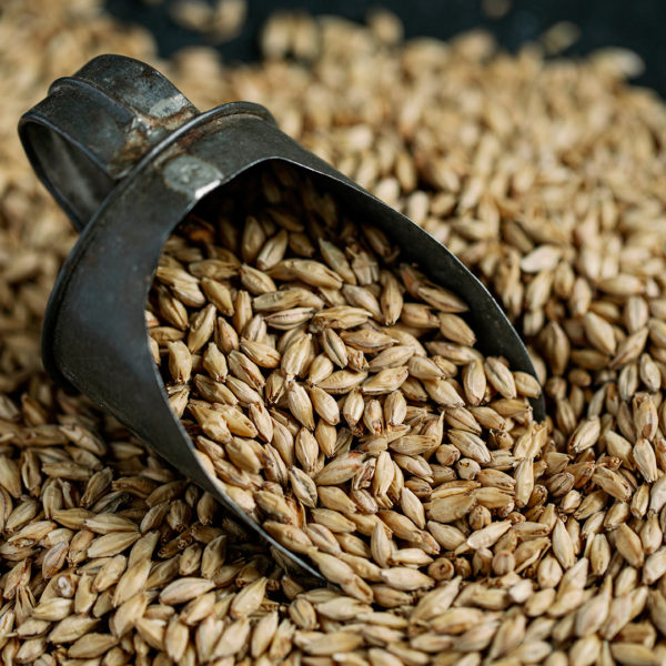 Nor'East Malts - Stone Path Malt